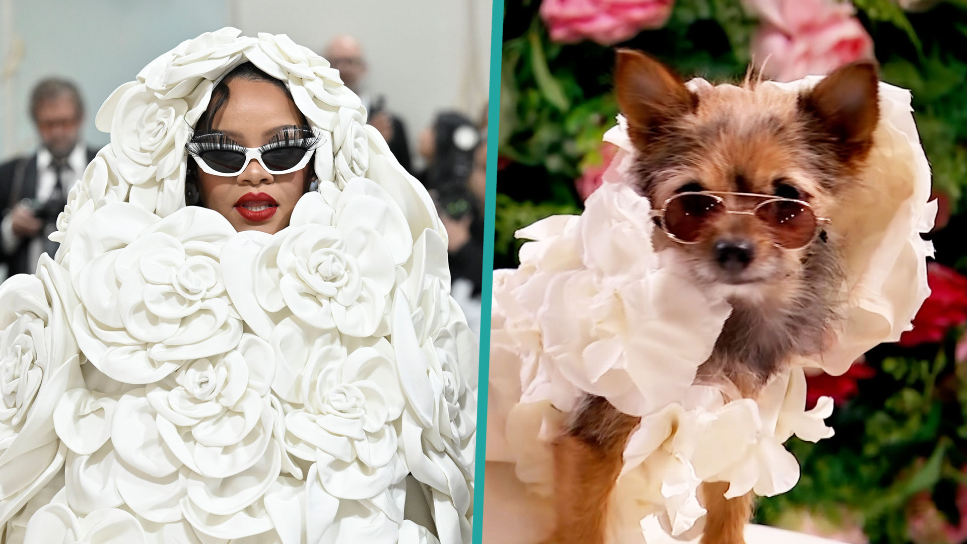 Watch Access Hollywood Highlight: Rihanna, Pedro Pascal & More Stars ...