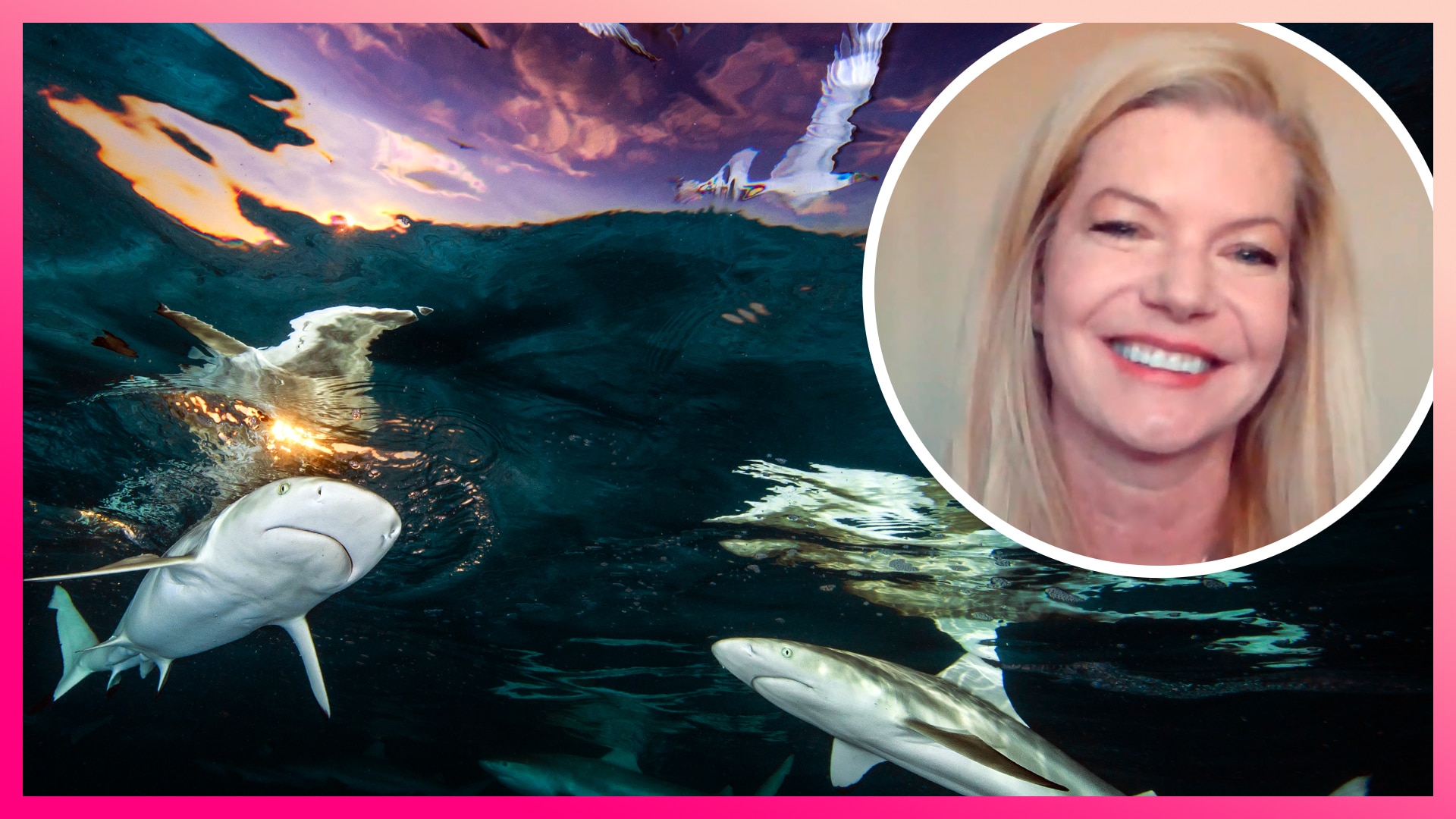 Watch Access Hollywood Highlight: Meet The First Female Underwater ...