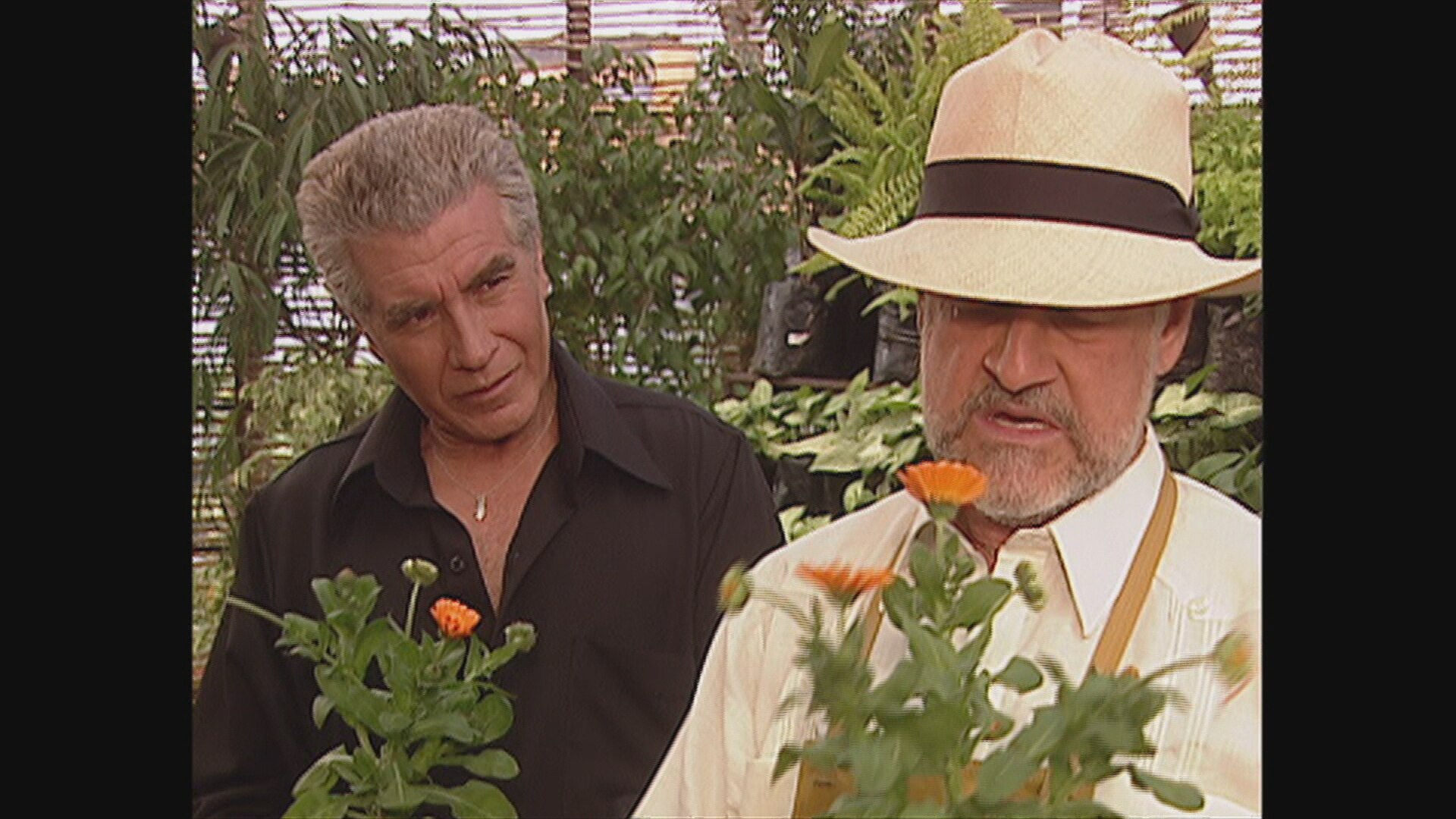 Watch La Venganza Episode: Orden de matar - NBC.com