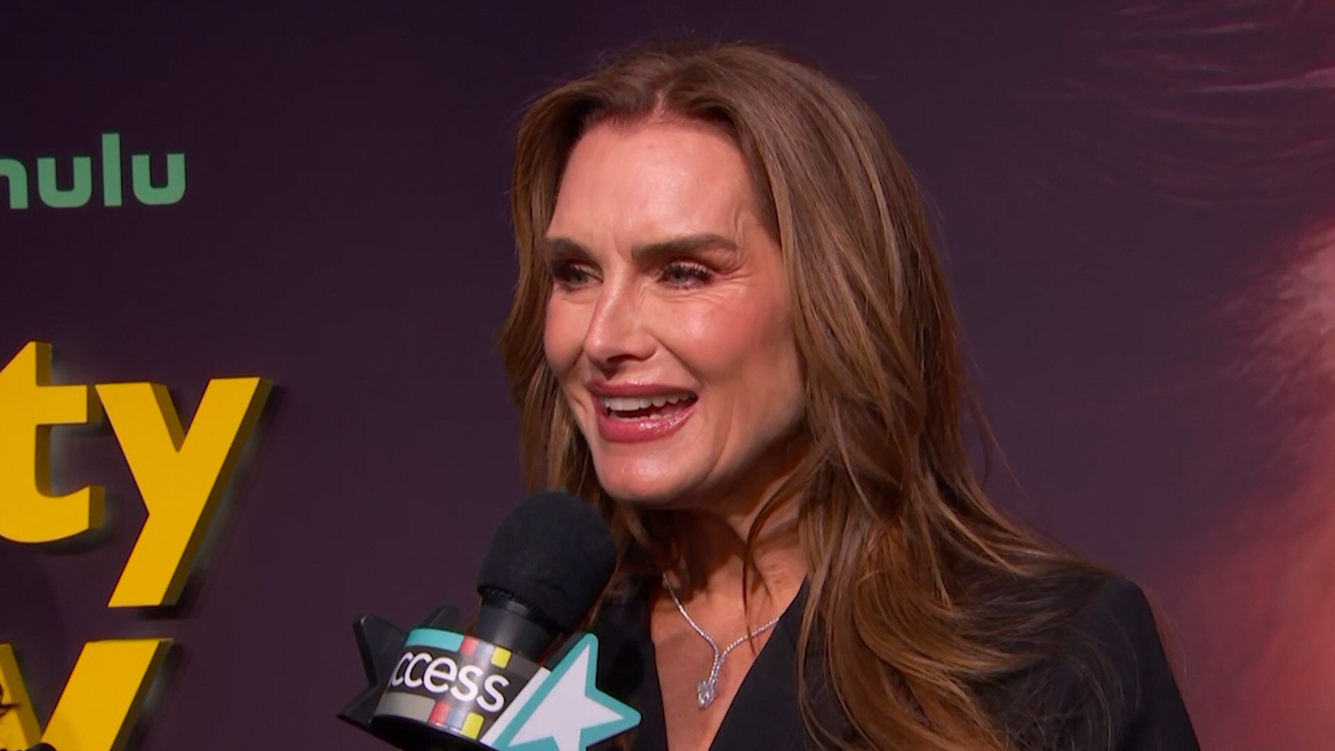 Watch Access Hollywood Highlight: Brooke Shields Recalls Time On ...
