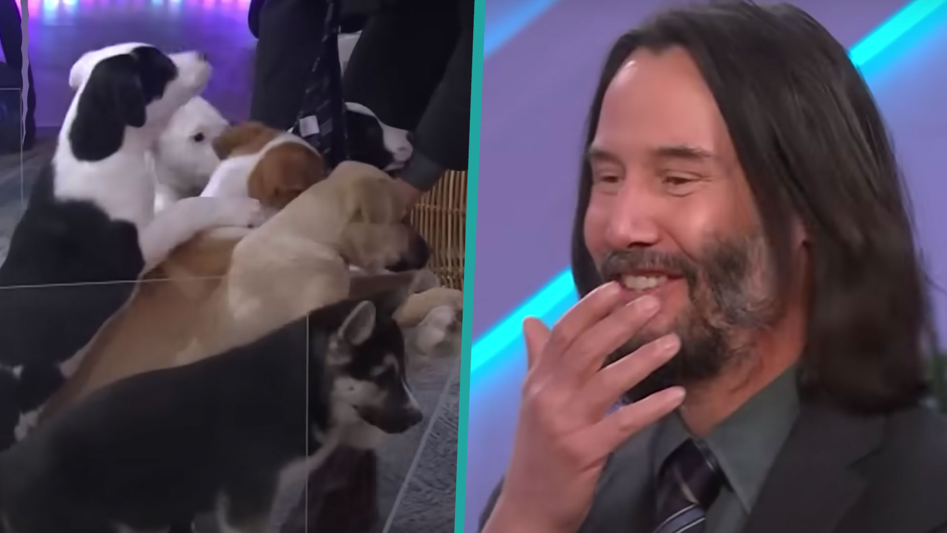 Watch Access Hollywood Highlight: Keanu Reeves Meets Excited Group Of ...