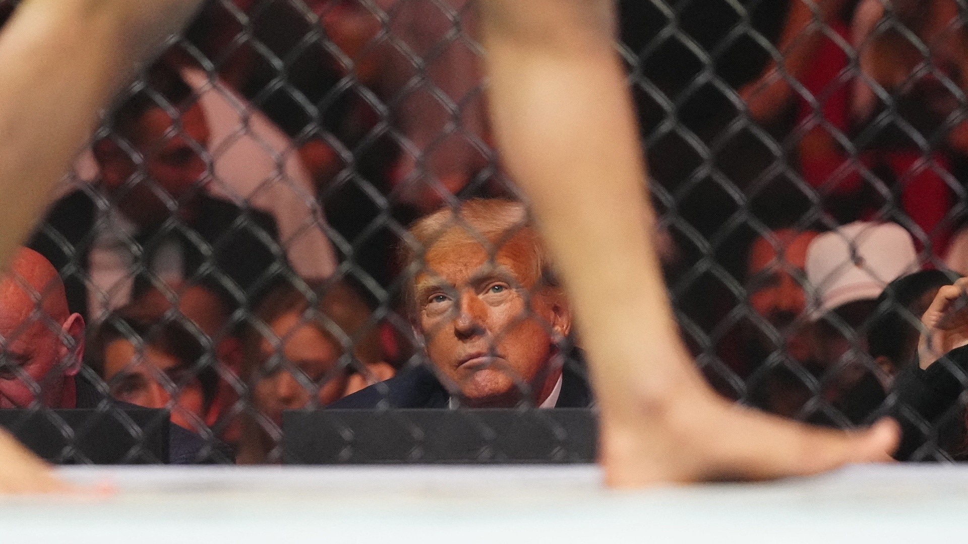 Watch Noticias Telemundo En La Noche Highlight: Donald Trump, invitado ...