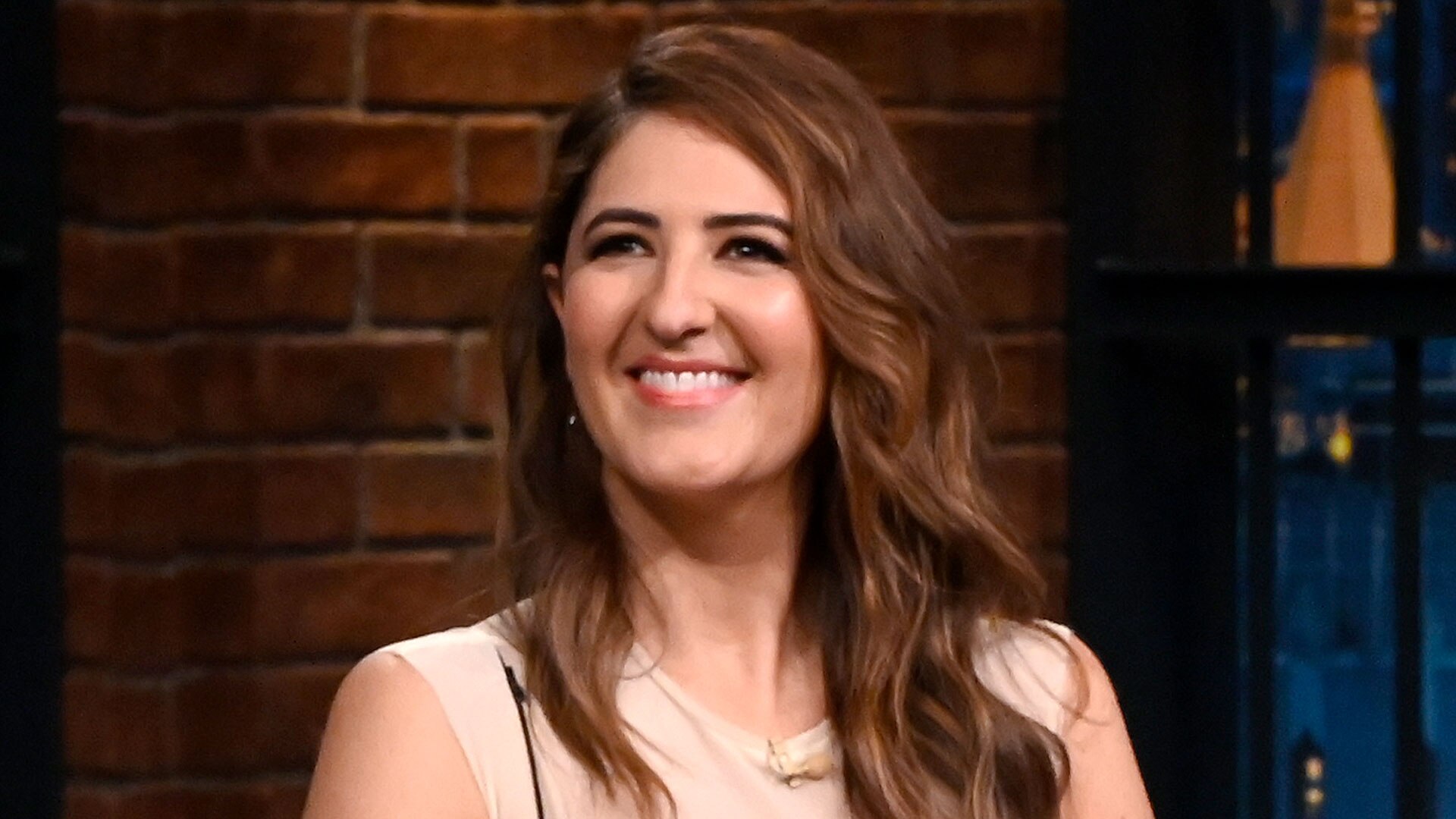 Watch Late Night with Seth Meyers Highlight: D'Arcy Carden Raves About ...