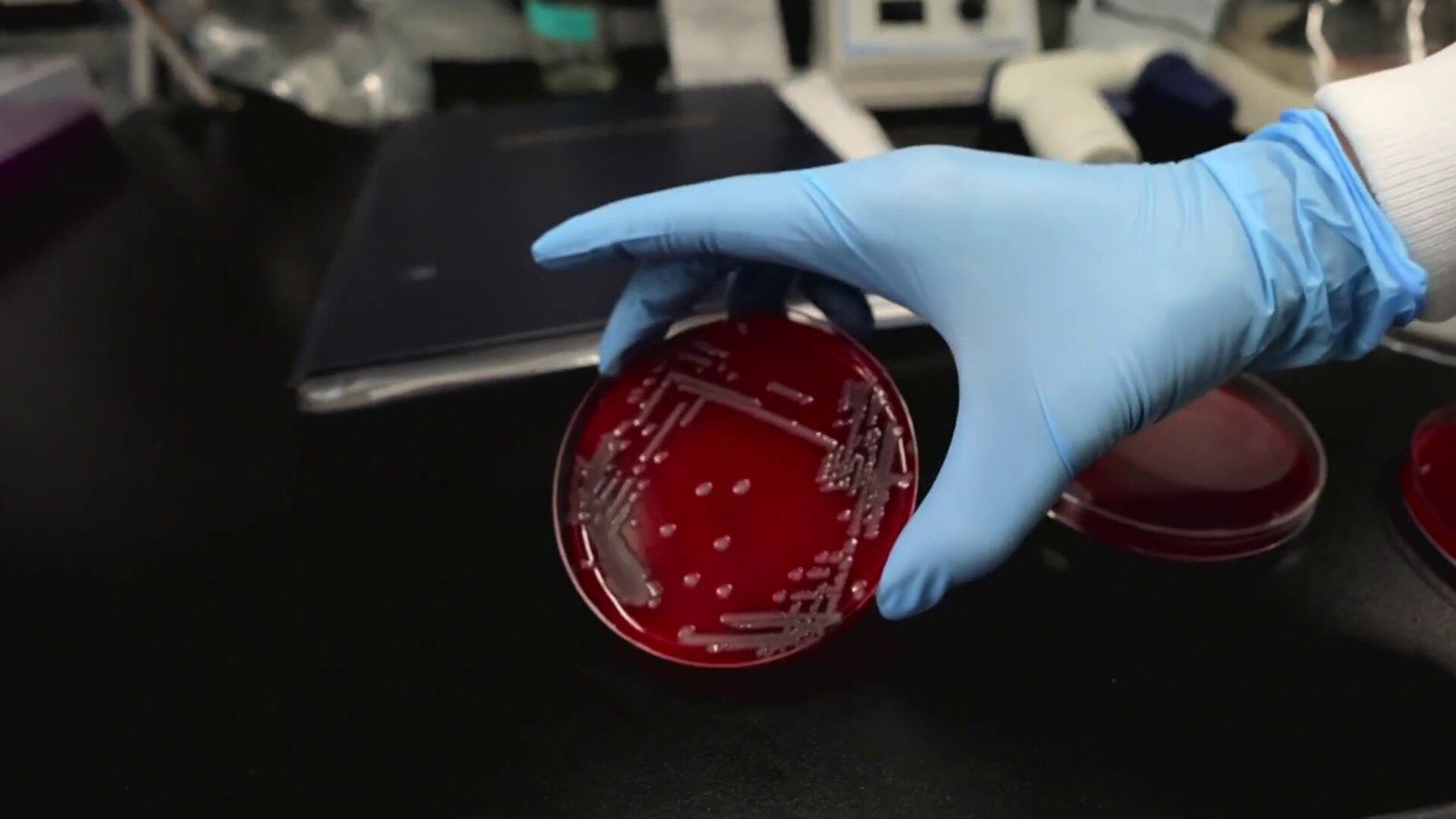 Watch TODAY Excerpt: How biotechnology could change the face of ...