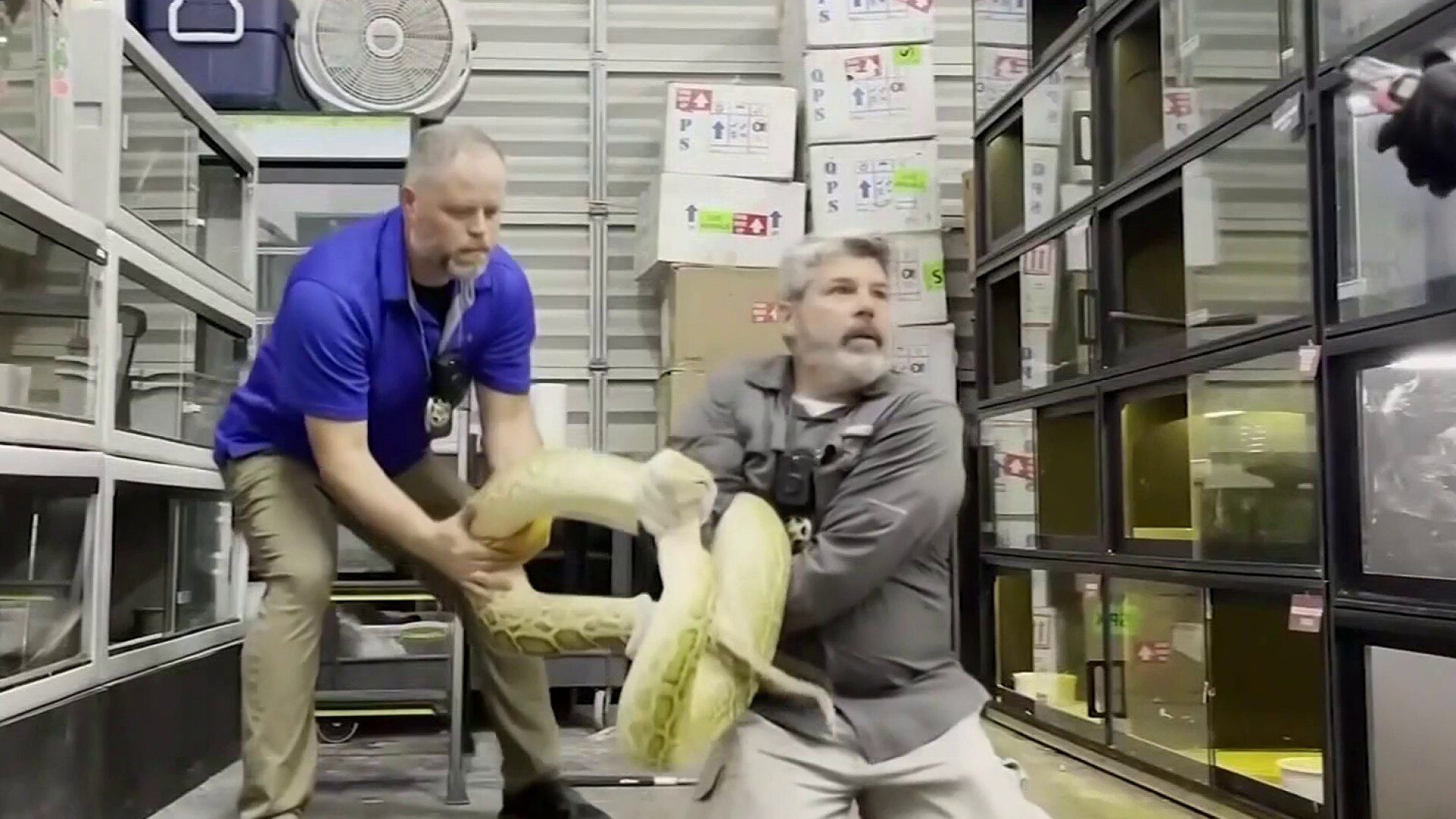 Watch Al Rojo Vivo Highlight: Denuncian que agentes sacrificaron a más ...