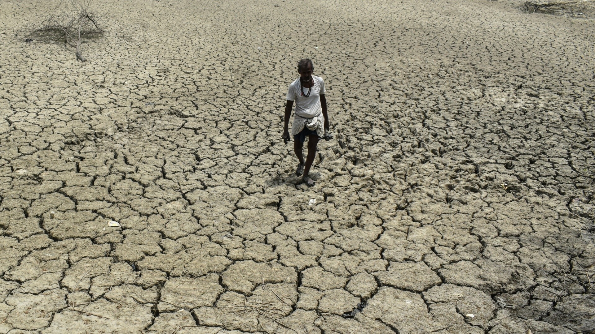 Watch Noticias Telemundo En La Noche Highlight: Planeta Tierra: Siete ...