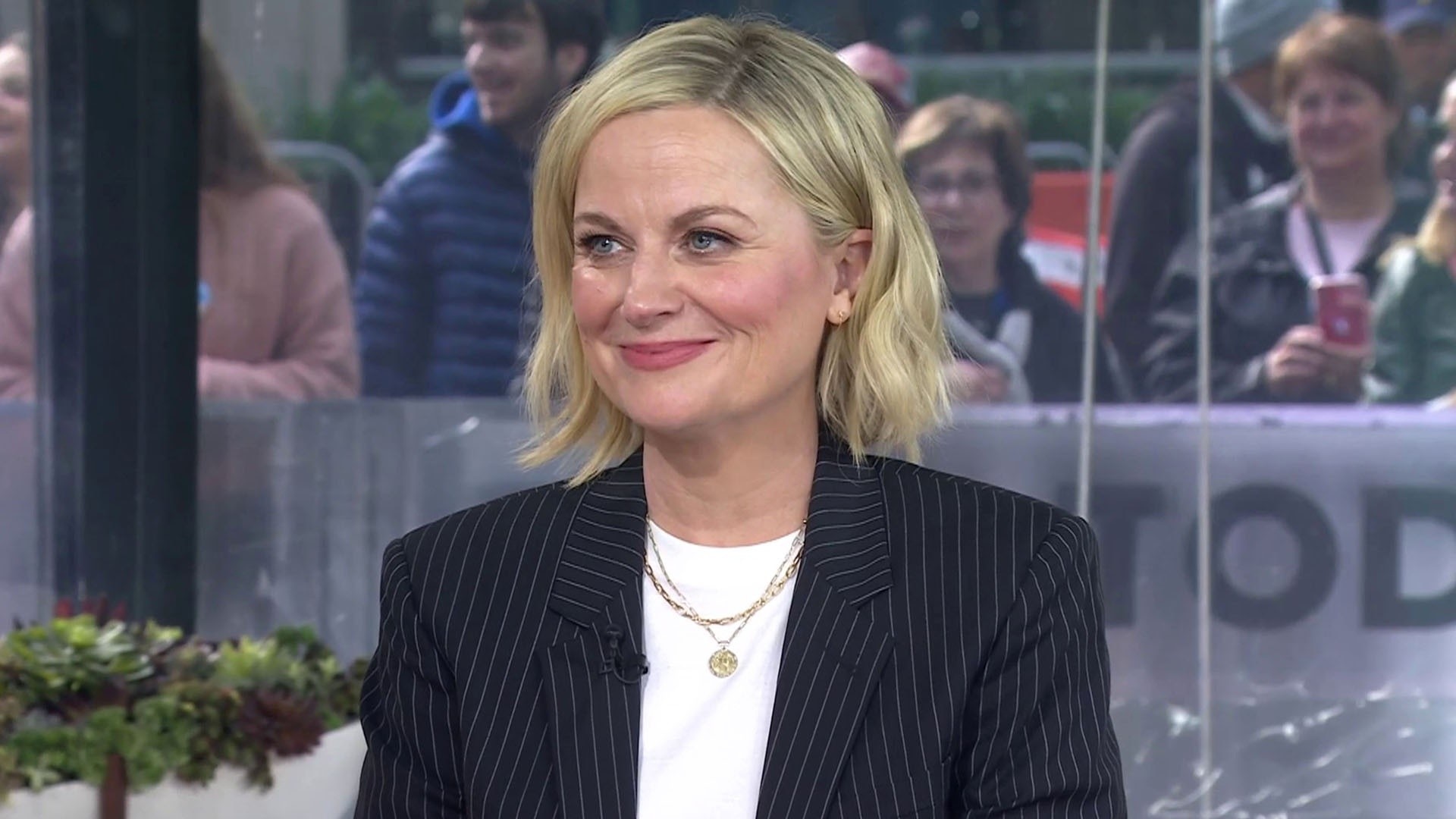 Watch TODAY Excerpt: Amy Poehler talks ‘Swedish Death Cleaning’ and ...