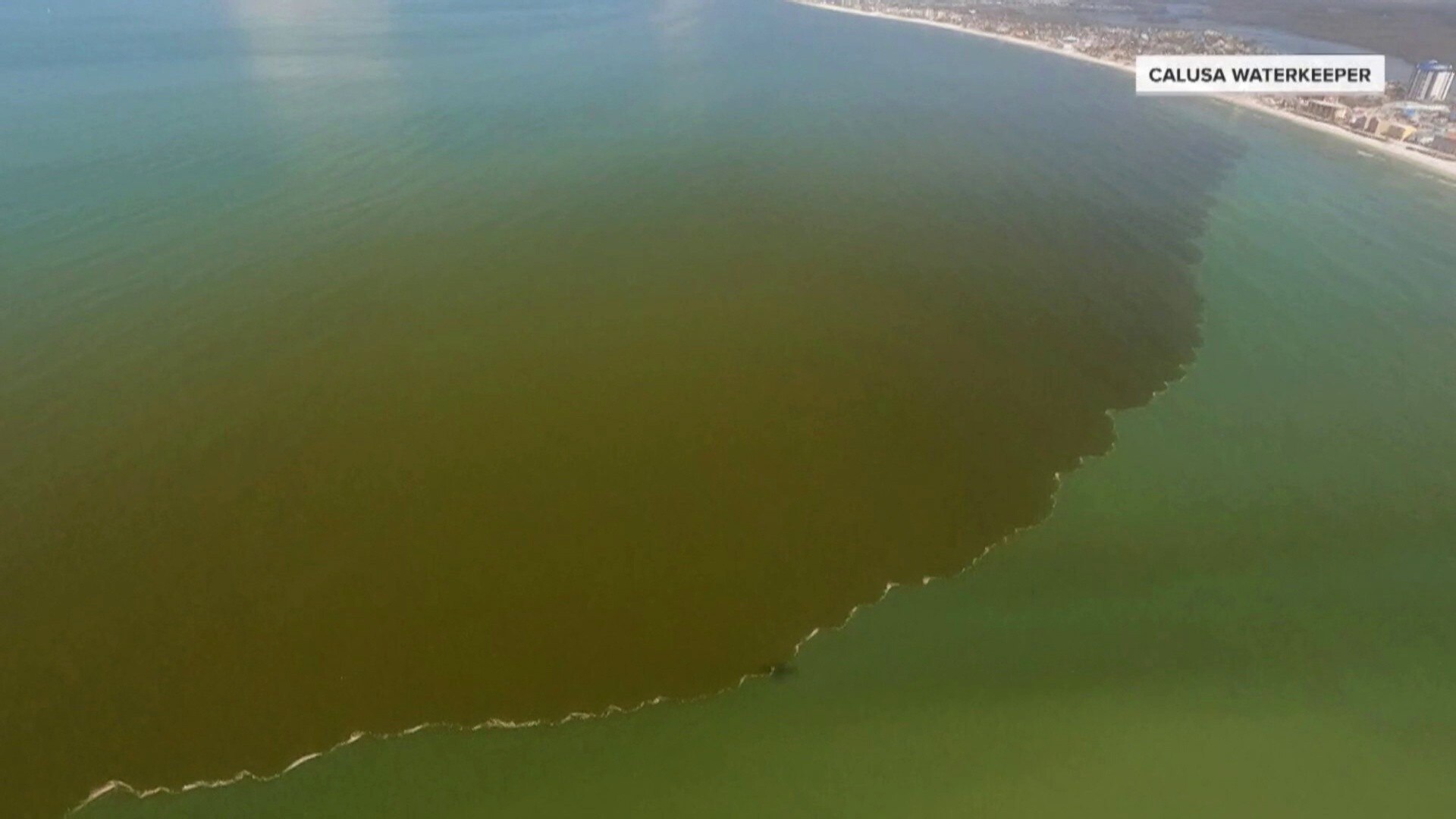 Watch TODAY Excerpt: What is a red tide and what are the effects on ...
