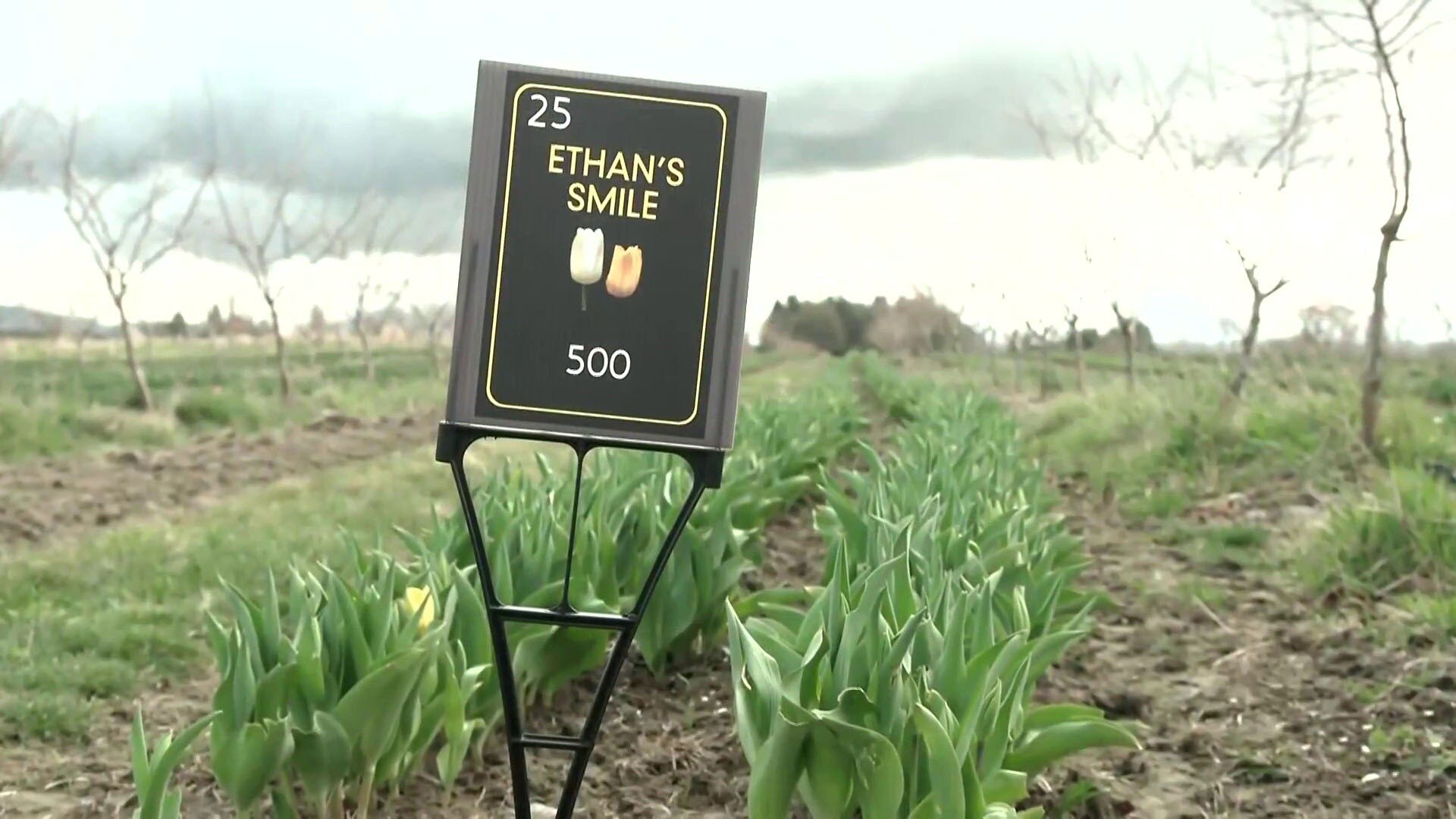 Watch TODAY Excerpt: Family of University of Idaho murder victim honors ...