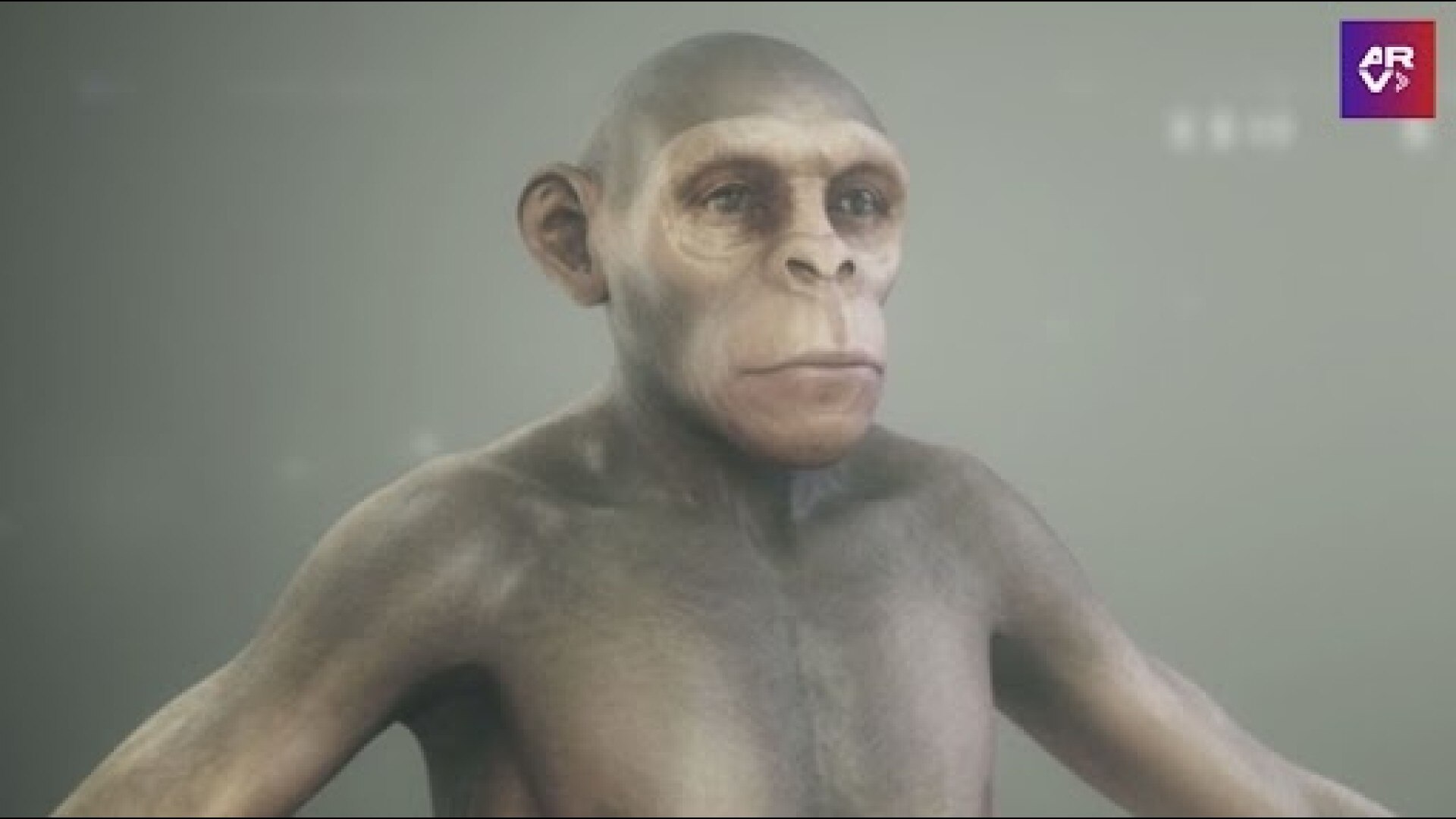 Watch Al Rojo Vivo Highlight: ¿Qué nos hace humanos? Estudian rasgos ...