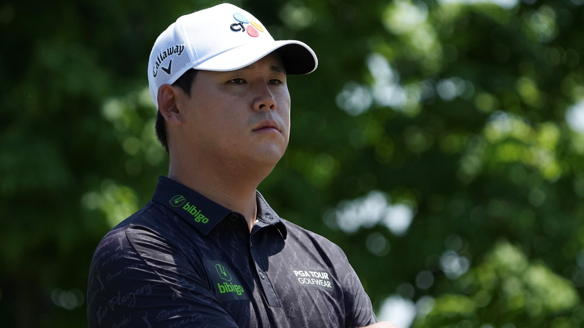 Watch Sports Clip: Kim reads slope perfectly on chip-in - NBC.com