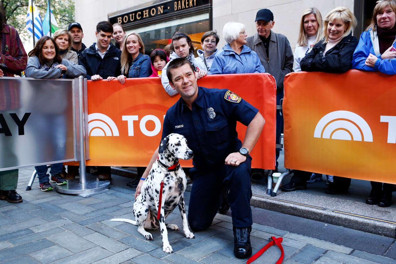 Chicago Fire: Chicago Fire Top Dog Finalists Photo: 279111 - NBC.com