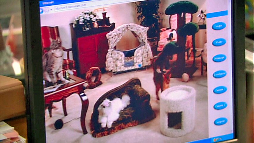 The Office: Angela's Crazy for Cats Photo: 608246 - NBC.com