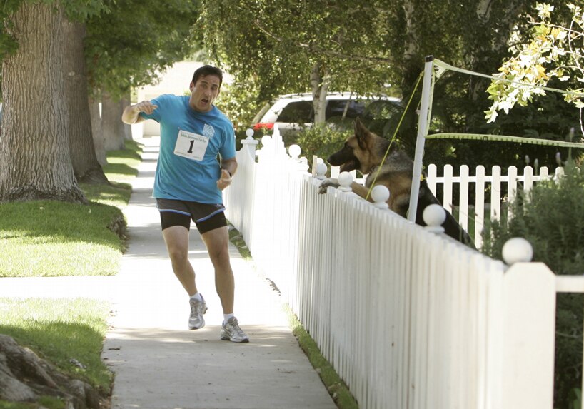 The Office: Fun Run Photo: 714801 - NBC.com