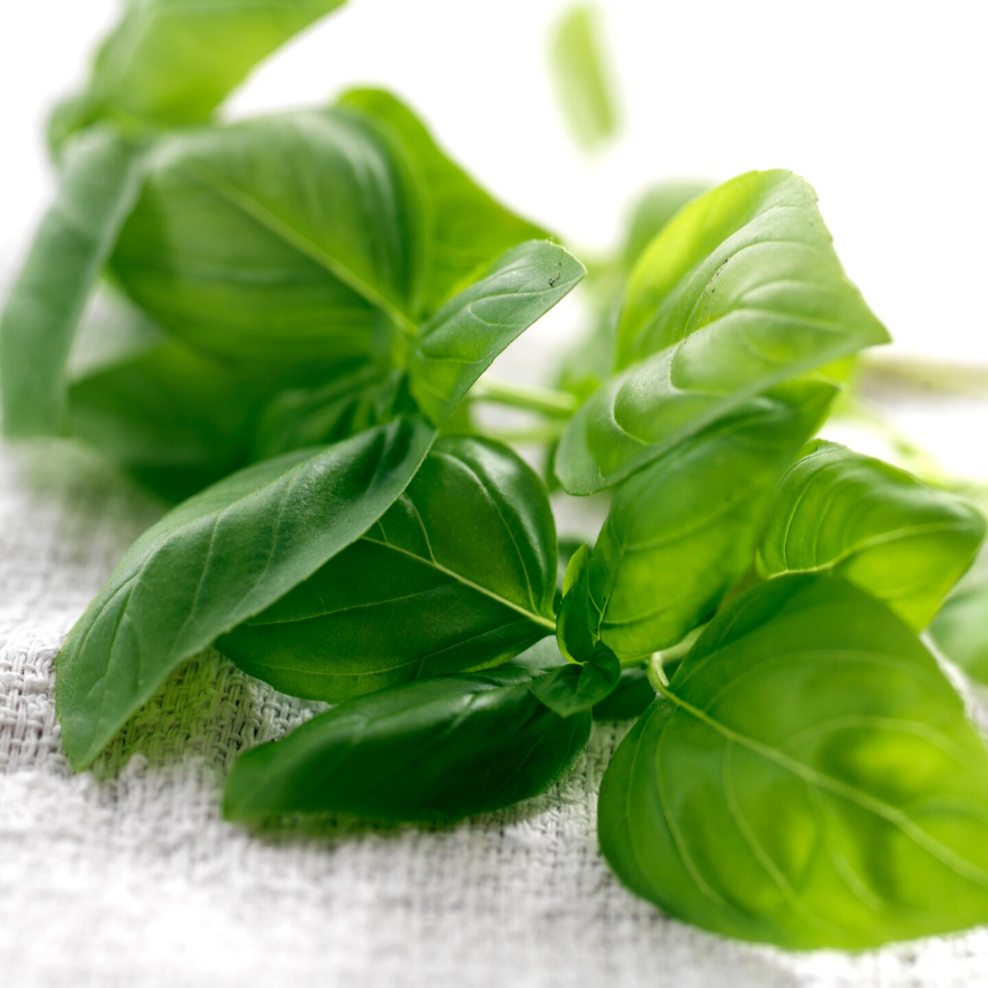 Grimm: Real Life Love Potions Photo: 263836 - NBC.com