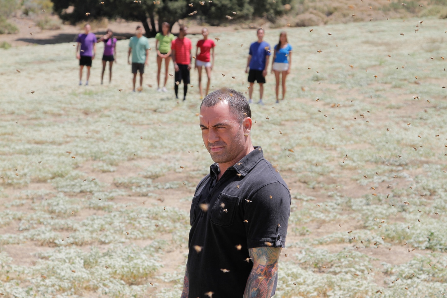 Fear Factor: The Bees Are So Angry Photo: 502571 - NBC.com